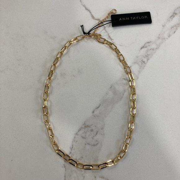 Ann Taylor | Jewelry | Ann Taylor Gold Chain Link Necklace | Poshmark